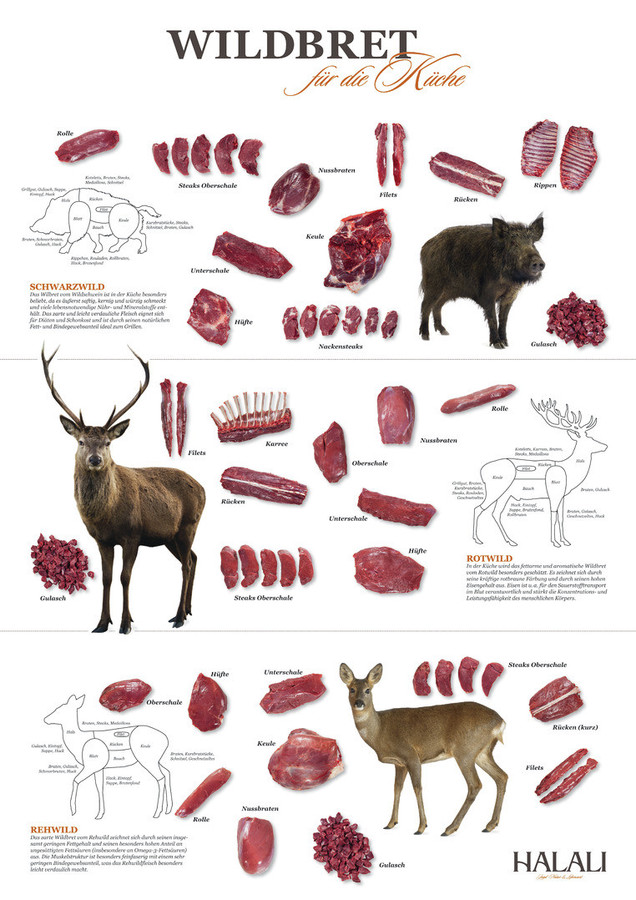 Wild aus der Region Freising Erding - Home